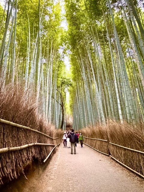 Kyoto: Fully customizable your own tour in the old capital - Key Points