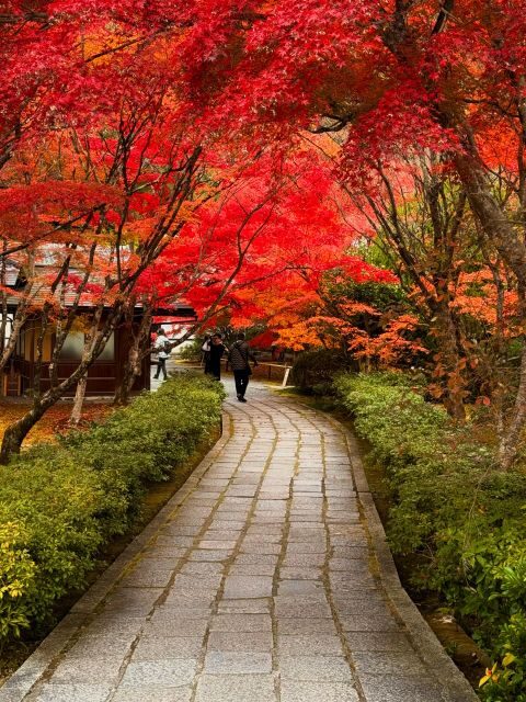 Kyoto: Fully customizable your own tour in the old capital - Who Should Book This Tour?