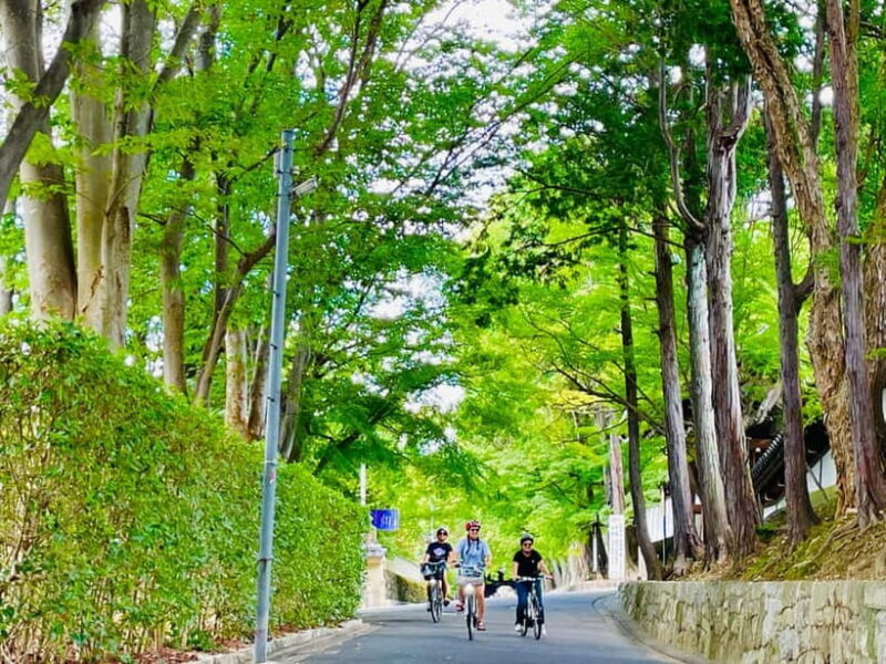 Kyoto: Fushimi Inari Shrine and Tofukuji Temple E-Bike Tour - FAQs