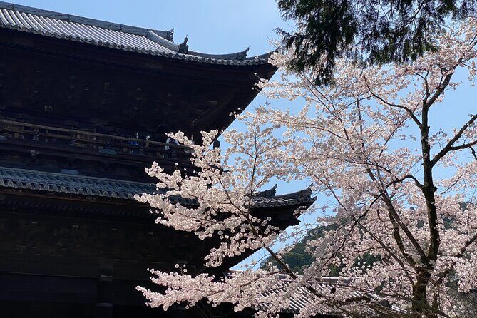 Kyoto Garden Tour and Mini Garden Making Experience - Authentic Insights & Reviews
