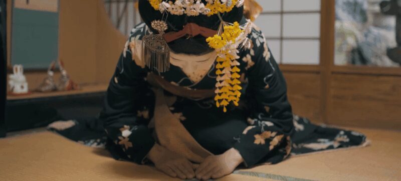 Kyoto Gion Cultural Walk & Geisha Show with Dining Options - Key Points