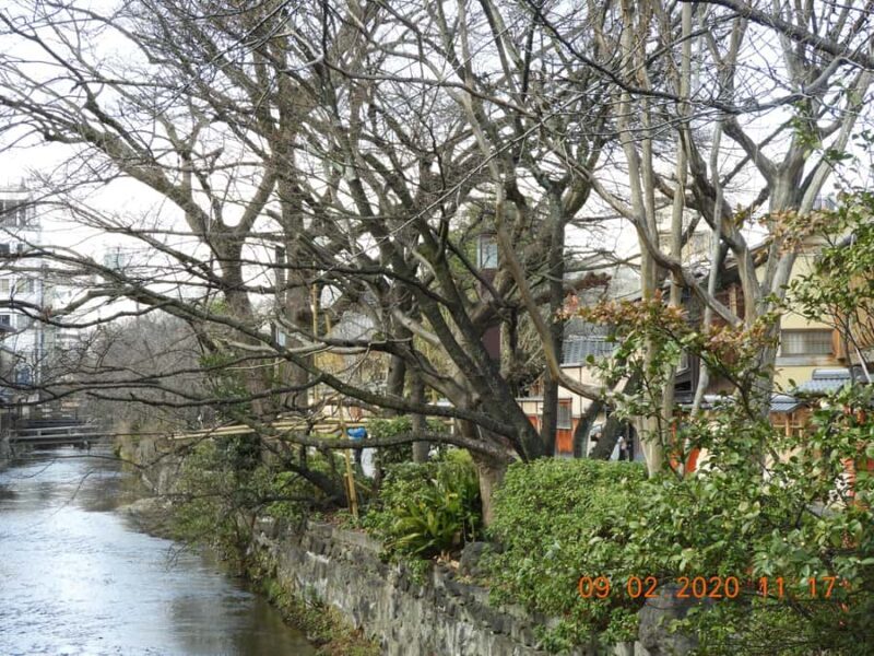 Kyoto: Gion Geisha District Guided Walking Tour - Who Should Consider This Tour?