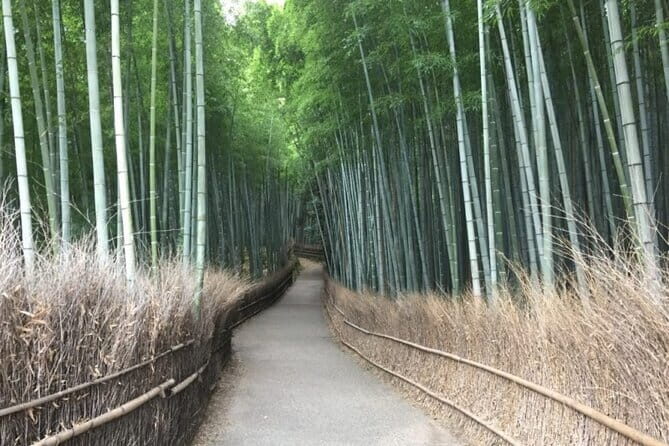 Kyoto: Gion, Kiyomizu Temple and Nishiki Market Tour - The Sum Up