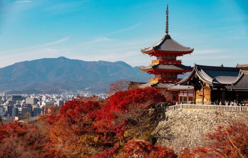 Kyoto, Gion & Nara: Culture & Heritage Full-Day Tour - Key Points