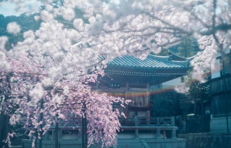 Kyoto, Gion & Nara: Culture & Heritage Full-Day Tour - The Sum Up