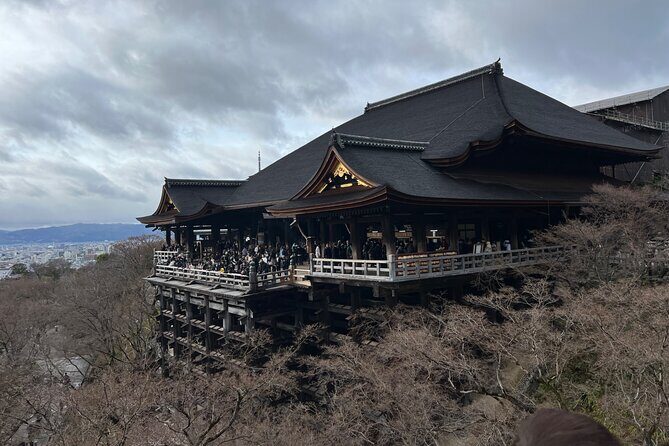 Kyoto: Golden Pavilion, Nijo Castle, Nishiki Market - A Closer Look at the Tour Highlights