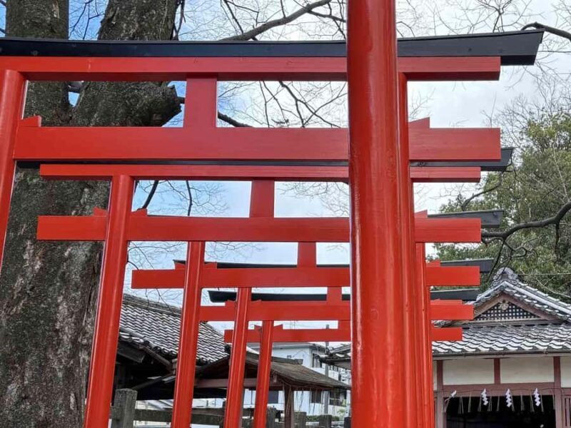 Kyoto: Guided Bicycle Tour with Entry to Sanjusangen-do etc - FAQ