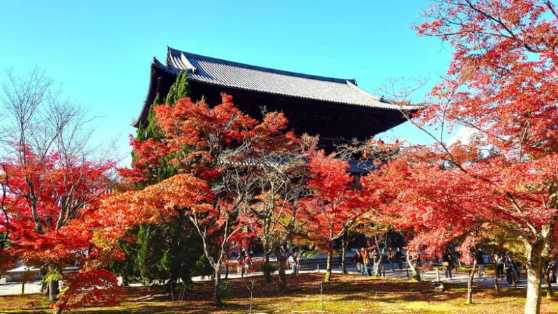 Kyoto: Guided Cycling Tour along Higashiyama's Waterfront - A Deep Dive into the Route and Experience