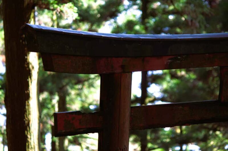 Kyoto: Guided Hike to Mt. Atago, Kyotos Highest Peak - Key Points