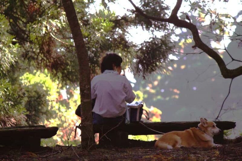 Kyoto: Guided Hike to Mt. Atago, Kyotos Highest Peak - An In-Depth Look at the Kyoto Guided Hike to Mt. Atago