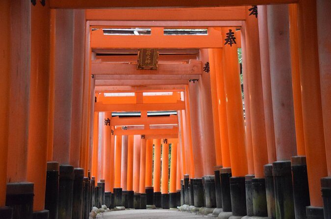 Kyoto Guided Walking Tour Highlight of Kiyomizu & Fushimi Inari - Who Should Consider This Tour?