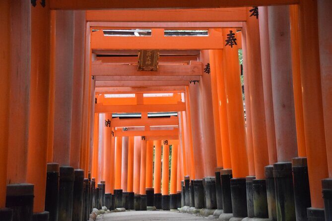 Kyoto Guided Walking Tour Highlight of Kiyomizu & Fushimi Inari - The Sum Up