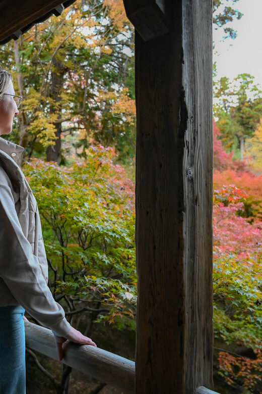 Kyoto: Half-day Guided Bike Tour with Fushimi Inari - The Sum Up: Is This Tour Right for You?