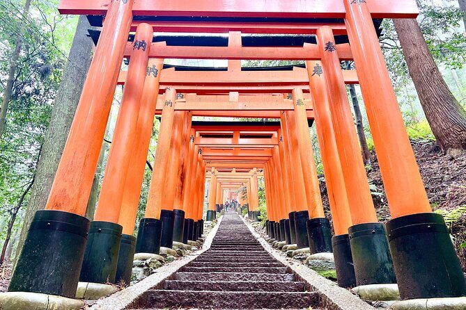 Kyoto Half Day Highlights Tour - The Iconic Torii Gates of Fushimi Inari
