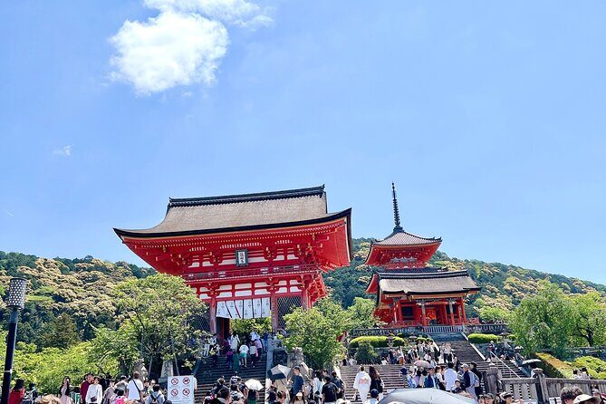 Kyoto Half Day Highlights Tour - Practical Details and What to Expect