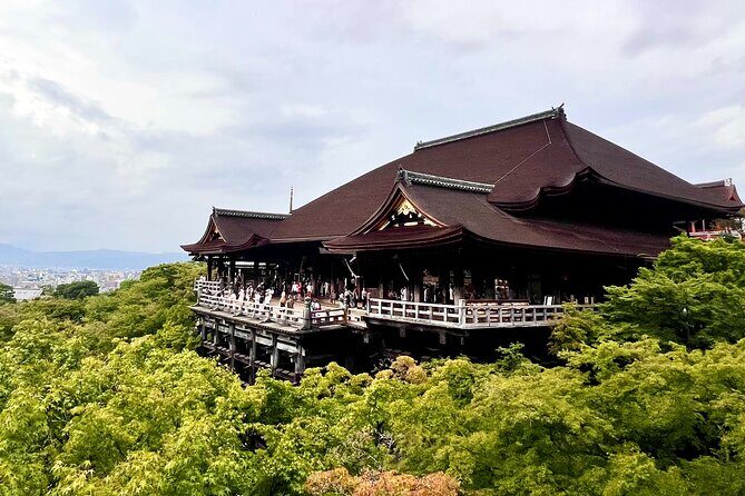 Kyoto Half Day Highlights Tour - Analyzing the Value