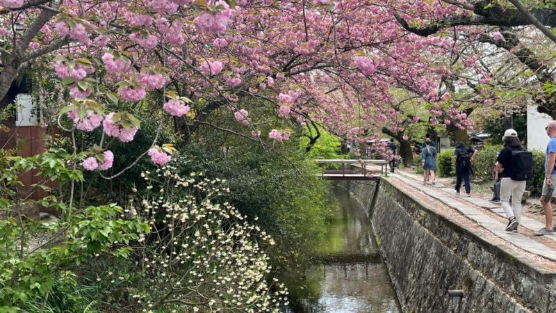 Kyoto: Half-Day Private Guided Tour of the Silver Pavilion - Tetsugaku No Michi (The Philosopher’s Path)