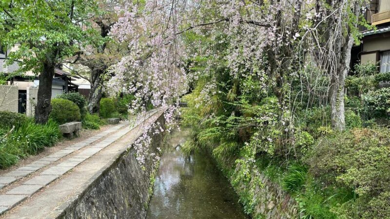 Kyoto: Half-Day Private Guided Tour of the Silver Pavilion - Practical Considerations