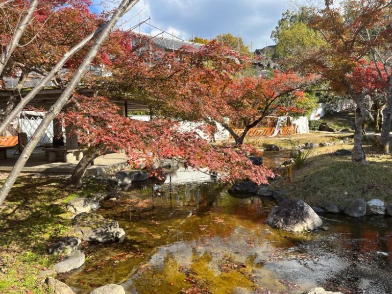 Kyoto: Half-Day Private Guided Tour to the Old Town of Gion - Who Will Love This Tour?