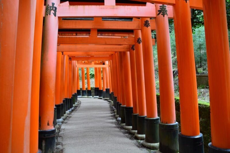 Kyoto Heritage: Fushimi Inari's Mystery & Kiyomizu Temple - Who Will Benefit Most?