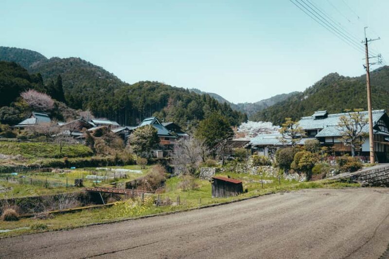 Kyoto: Hidden Gems and Local Neighborhoods - An In-Depth Look at the Tour
