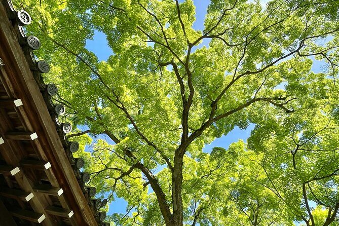 Kyoto Hidden Gems Tour with Shrines and Temples - Why This Tour Offers Real Value