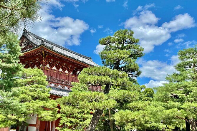 Kyoto Hidden Gems Tour with Shrines and Temples - Who Should Consider This Tour?