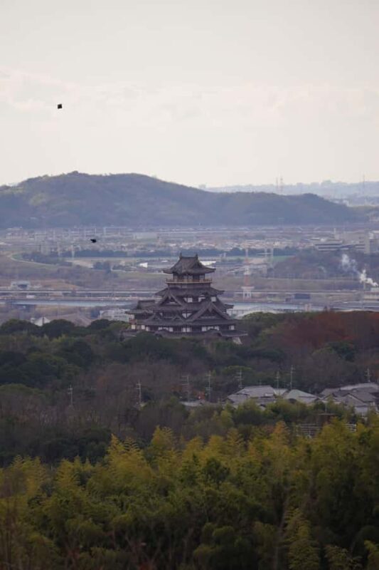 Kyoto: Hidden Spirit Realm Guided Tour - The Path to Emperor Meiji’s Mausoleum