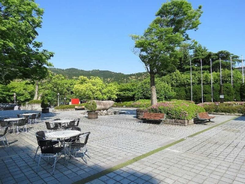 Kyoto: Hidden Spirits of Dawn Guided Tour with Tea Ceremony - Key Points