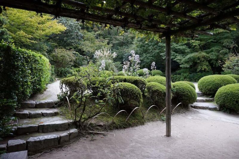 Kyoto: Hidden Temples and Tea Ceremony Tour - The Practicalities