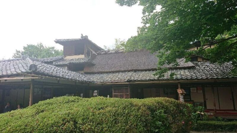 Kyoto: Hidden Temples and Tea Ceremony Tour - Authenticity and Cultural Insights
