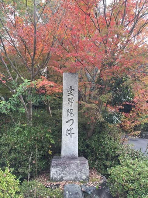 Kyoto: Hidden Temples and Tea Ceremony Tour - Who Should Consider This Tour?