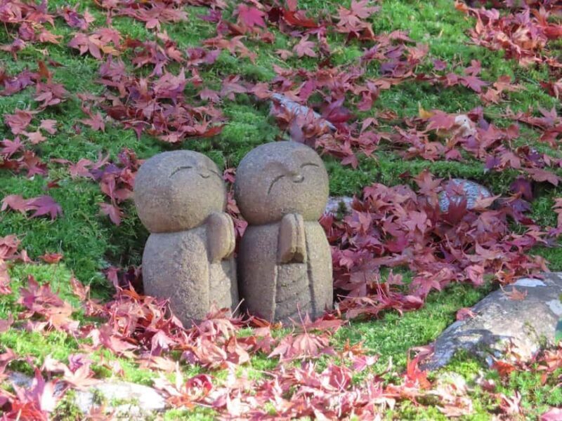 Kyoto: Hidden Temples and Tea Ceremony Tour - Final Thoughts