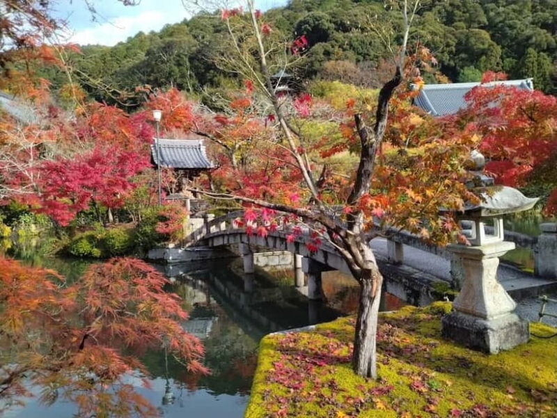 Kyoto: Higashiyama Hues: Discover Kyoto's Autumn Magic - Exploring Kyoto’s Autumn on Foot: An Authentic Look