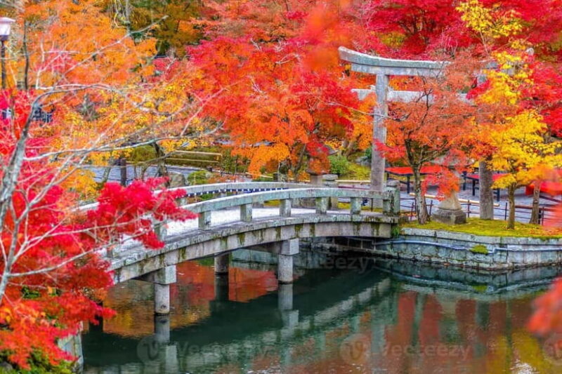 Kyoto: Higashiyama Hues: Discover Kyoto's Autumn Magic - The Practical Value: Cost and Logistics