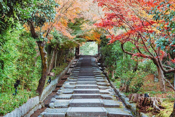 Kyoto Higashiyama Walking Private Tour - Authentic Reviews: What Travelers Say