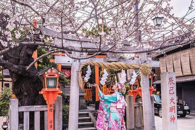 Kyoto Highlight Private Tour with English Speaking Driver - An In-Depth Look at What You Can Expect