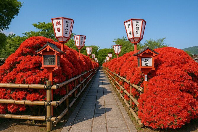 Kyoto Highlights Eastern Western Northern and Southern Routes - Key Points