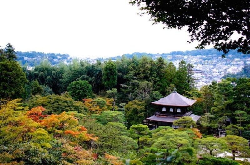 Kyoto: Highlights Guided Walking Tour - A Closer Look at the Itinerary and Experience