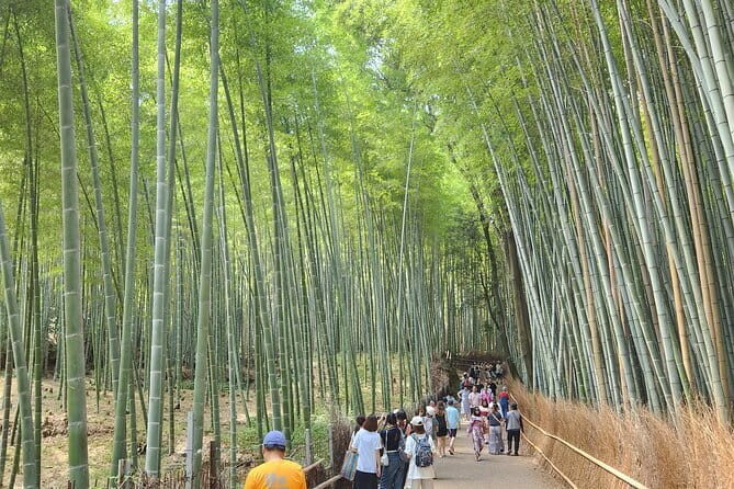 Kyoto Highlights of 6 Hour Private Car Tour - Key Points