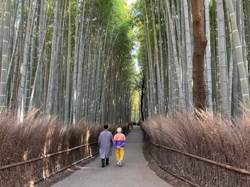 Kyoto: Highlights of Arashiyama in 2 hours - Guided tour - FAQ