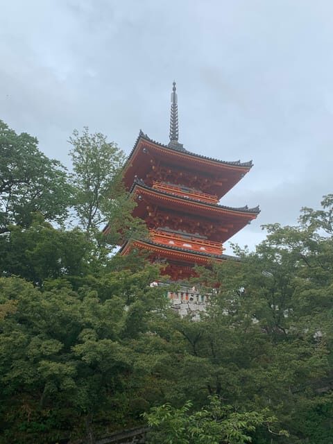 Kyoto Highlights Private Tour - Who Will Love This Tour?