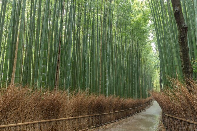 Kyoto Highlights Private Walking Tour - Frequently Asked Questions