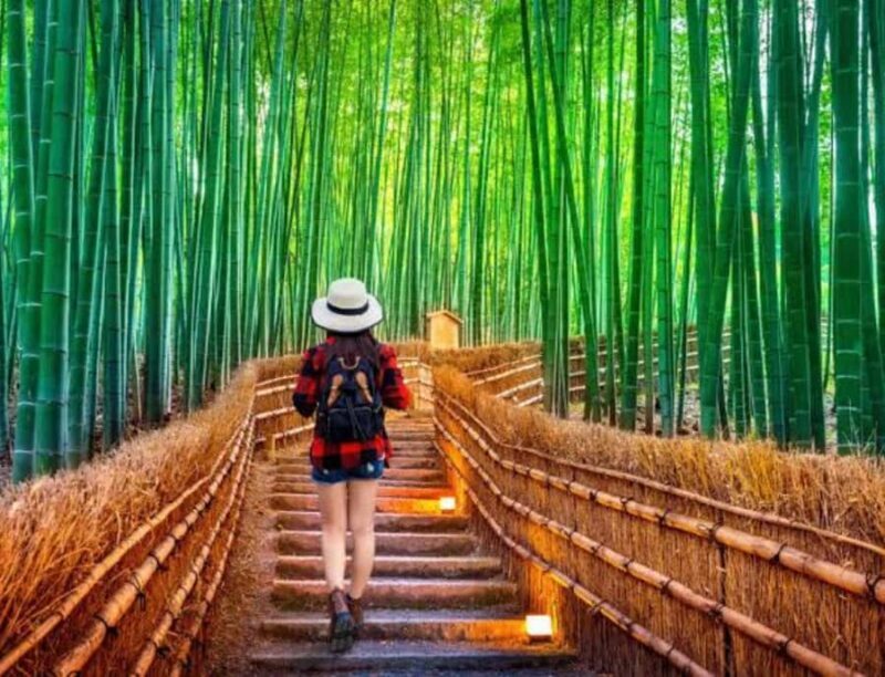 Kyoto: Highlights Tour with Geisha District and Temples - The Charm of Gion and Traditional Streets