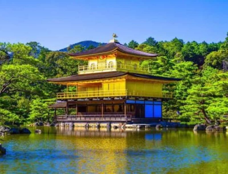 Kyoto: Highlights Tour with Geisha District and Temples - Who Will Love This Tour?