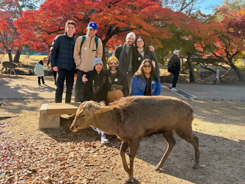 Kyoto: Historical Nara & Kyoto Bus Tour - The Sum Up