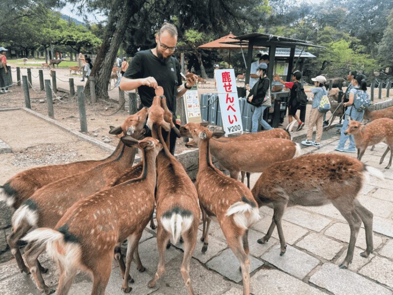 Kyoto: Historical Nara & Kyoto Bus Tour - FAQ