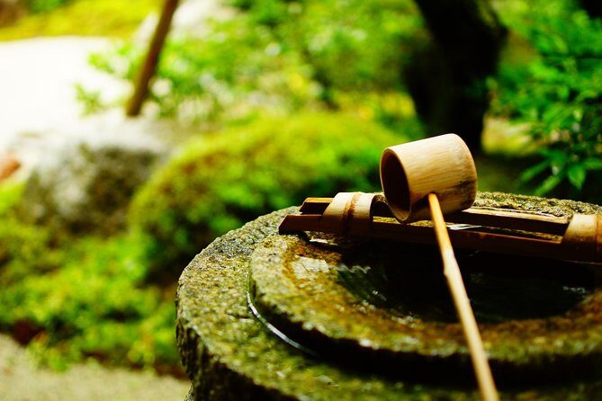 Kyoto : Immersive Arashiyama and Fushimi Inari by Private Vehicle - An In-Depth Look at the Itinerary