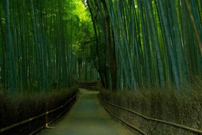 Kyoto ITALIAN GUIDE Golden Pagoda Bamboo Forest Dry Garden - Key Points