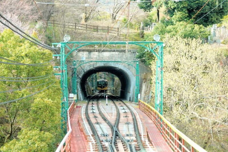 Kyoto: Iwashimizu Hachimang Shrine Guided Tour & Cable Car - Why Visit Iwashimizu Hachimang Shrine?